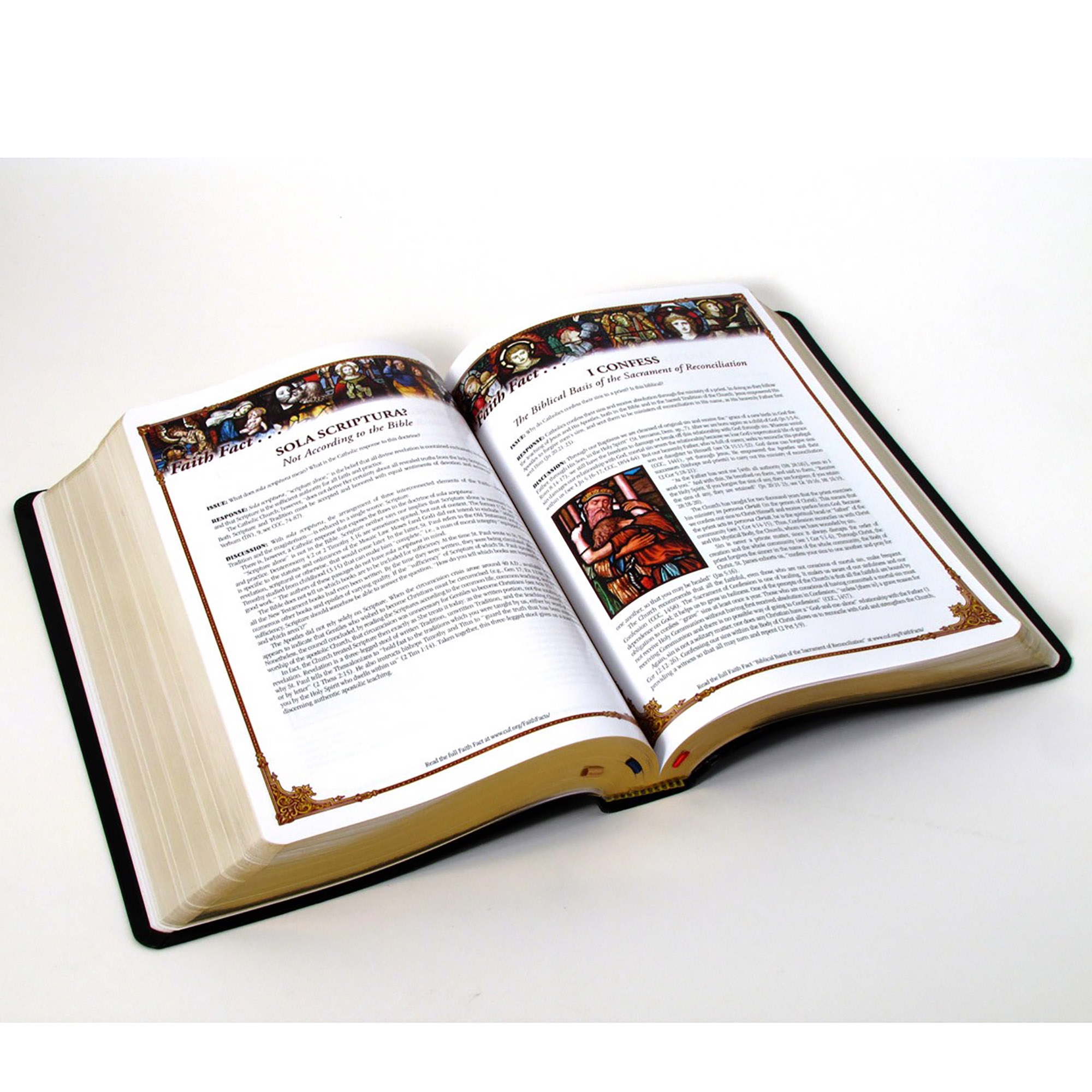 CATHOLIC SCRIPTURE STUDY BIBLE - RSV | EWTN Religious Catalogue