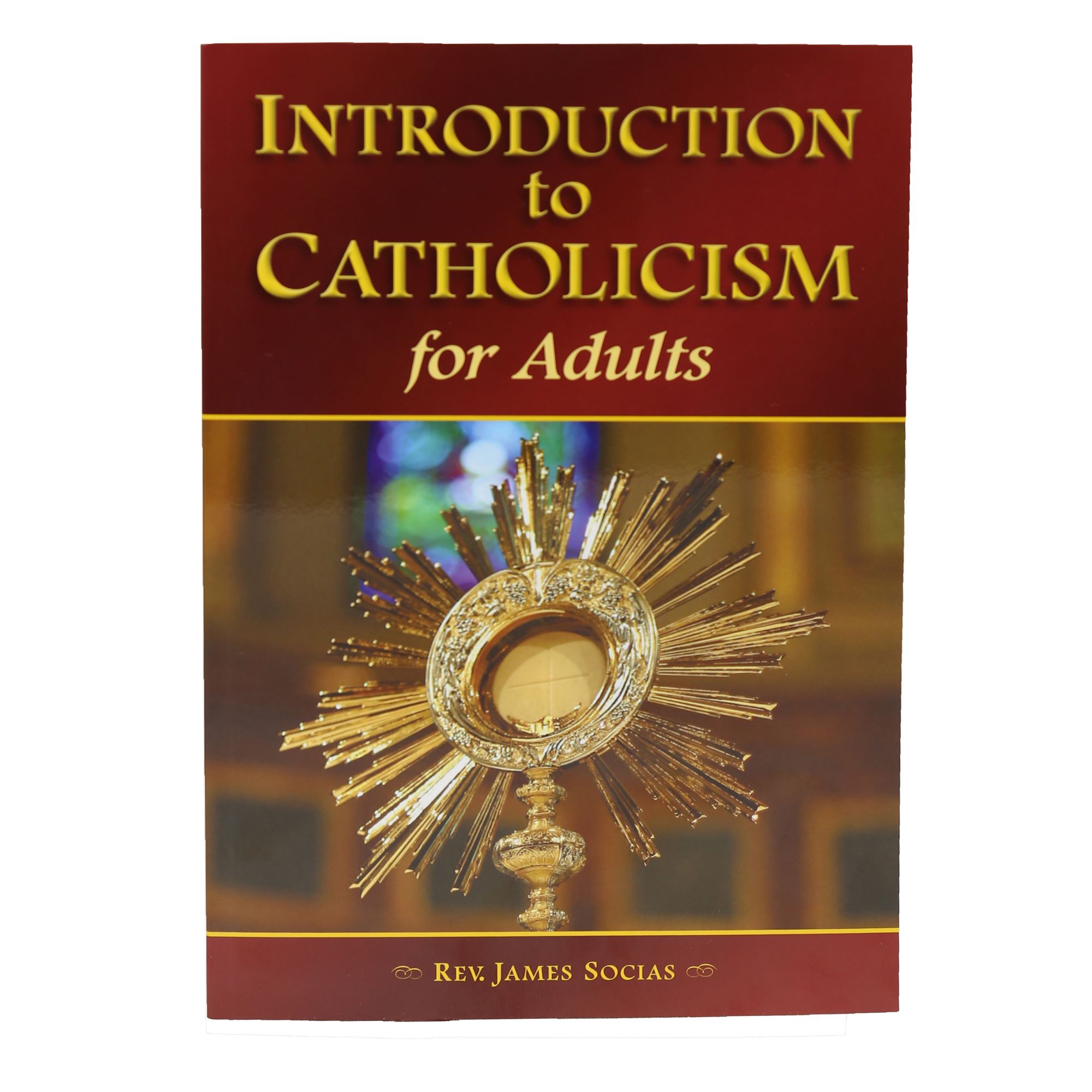 INTRODUCTION TO CATHOLICISM FOR ADULTS | EWTN Religious Catalogue