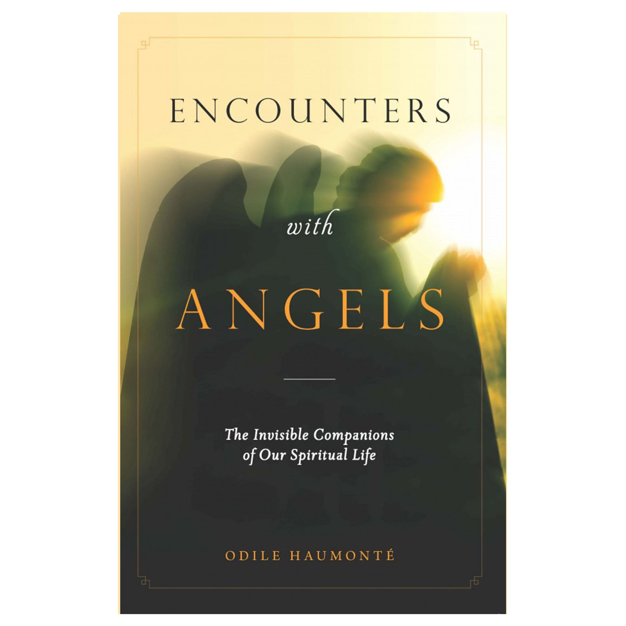 ENCOUNTERS WITH ANGELS - THE INVISIBLE COMPANIONS OF OUR SPIRITUAL LIFE ...